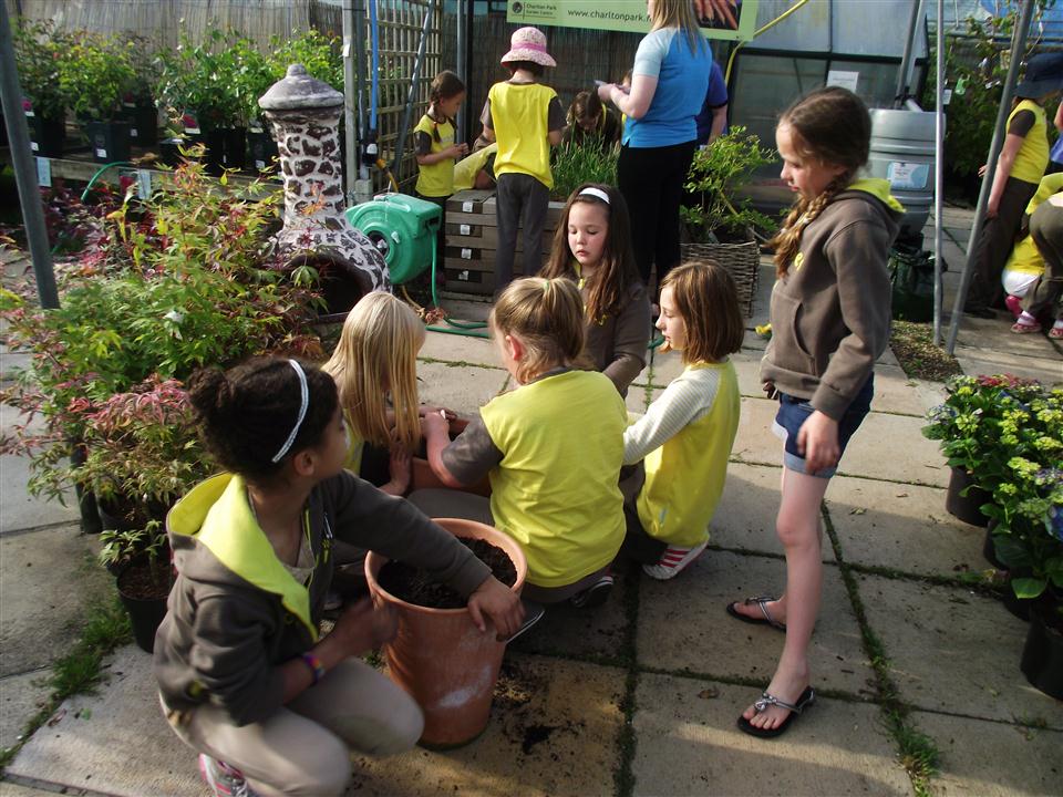 Brownies Grow Their Own